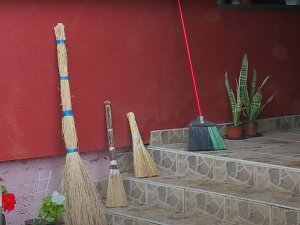 Suzana od ove biljke pravi metle koje se ne zadržavaju na tezgi ...