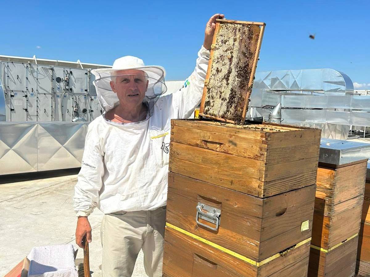 Stanko Rajić pravi med na krovovima zgrada u Beogradu: Beogradski med ...