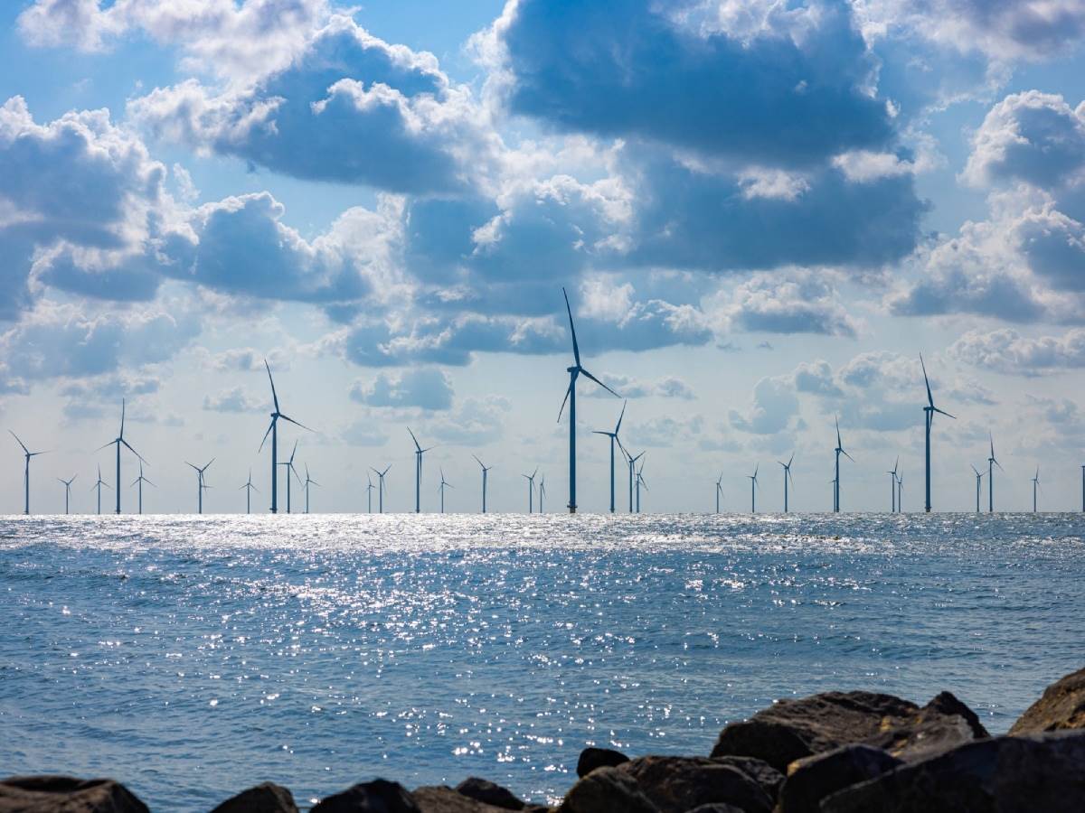 Između vetrenjača u Severnom moru niče farma morskih algi | EUpravo zato