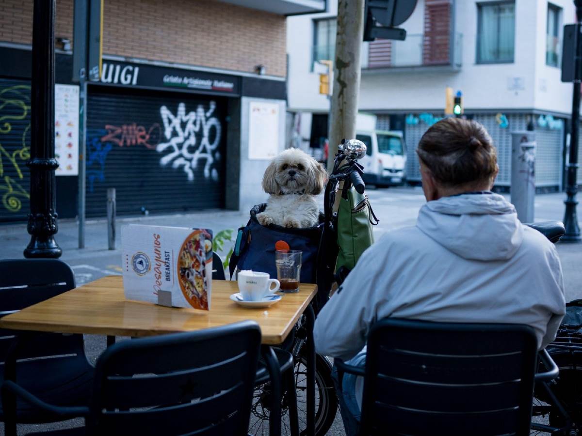 Srpski tim inovatora razvio alat za bolje razumevanje pasa | EUpravo zato