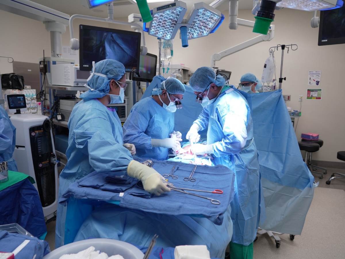 Tek 19 transplantacija organa u Srbiji od početka godine | EUpravo zato