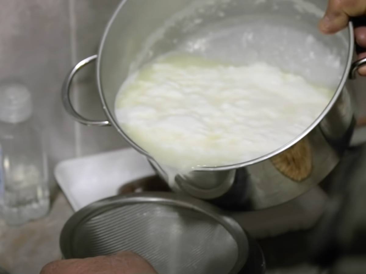 Najskuplji sir na svetu je magareći sir pule i pravi se u Zasavici ...