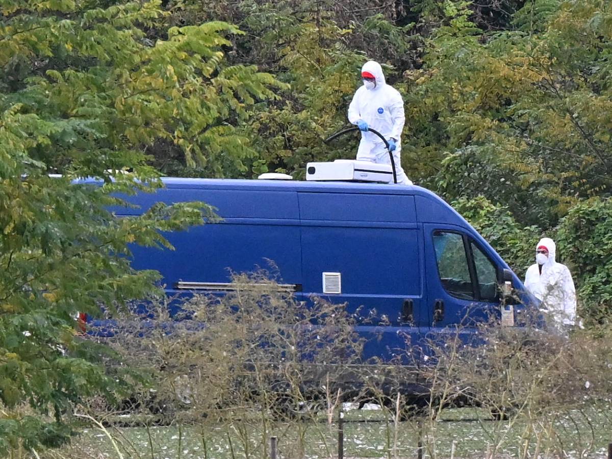 Austrija zbog ptičjeg gripa proglašena rizičnim područjem | EUpravo zato