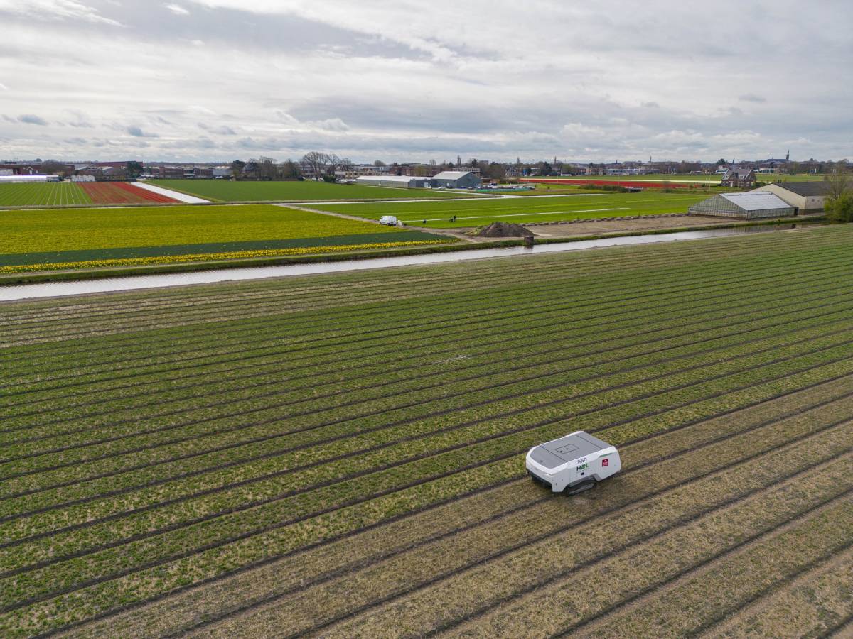 Robot Teo čuva holandske lale, a Lala čuva srpsku zemlju | EUpravo zato