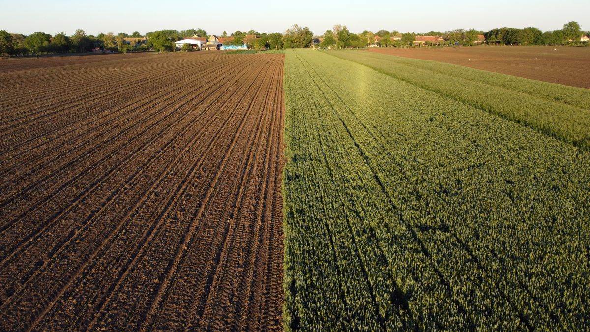 Srbija sprema Zakon o regenerativnoj poljoprivredi | EUpravo zato