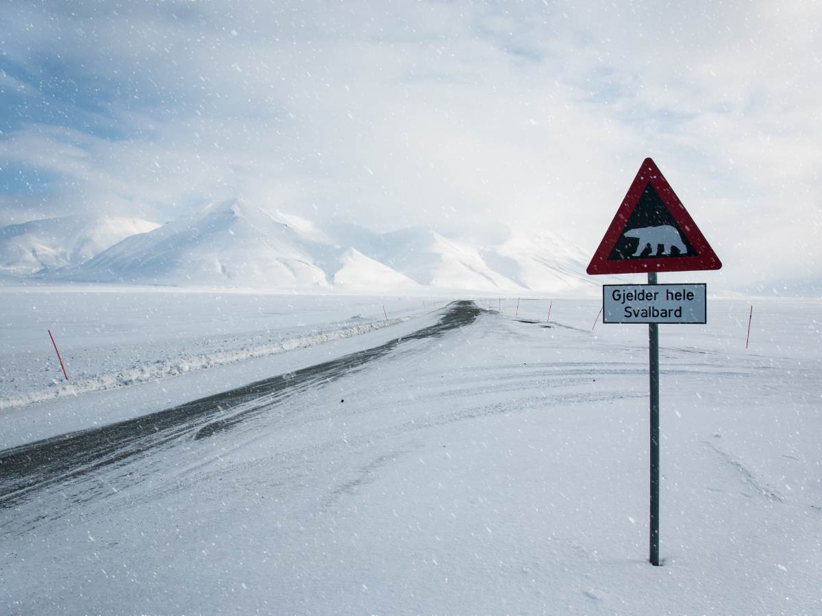 Svalbard: Evropsko ostrvo gde sunce ne zalazi i svi nose pušku ...