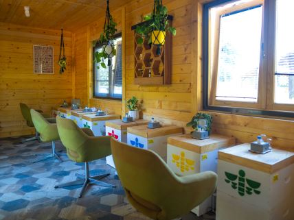 Medonosni vrt u Silosima oaza usred grada: Kako izgleda api komora ...